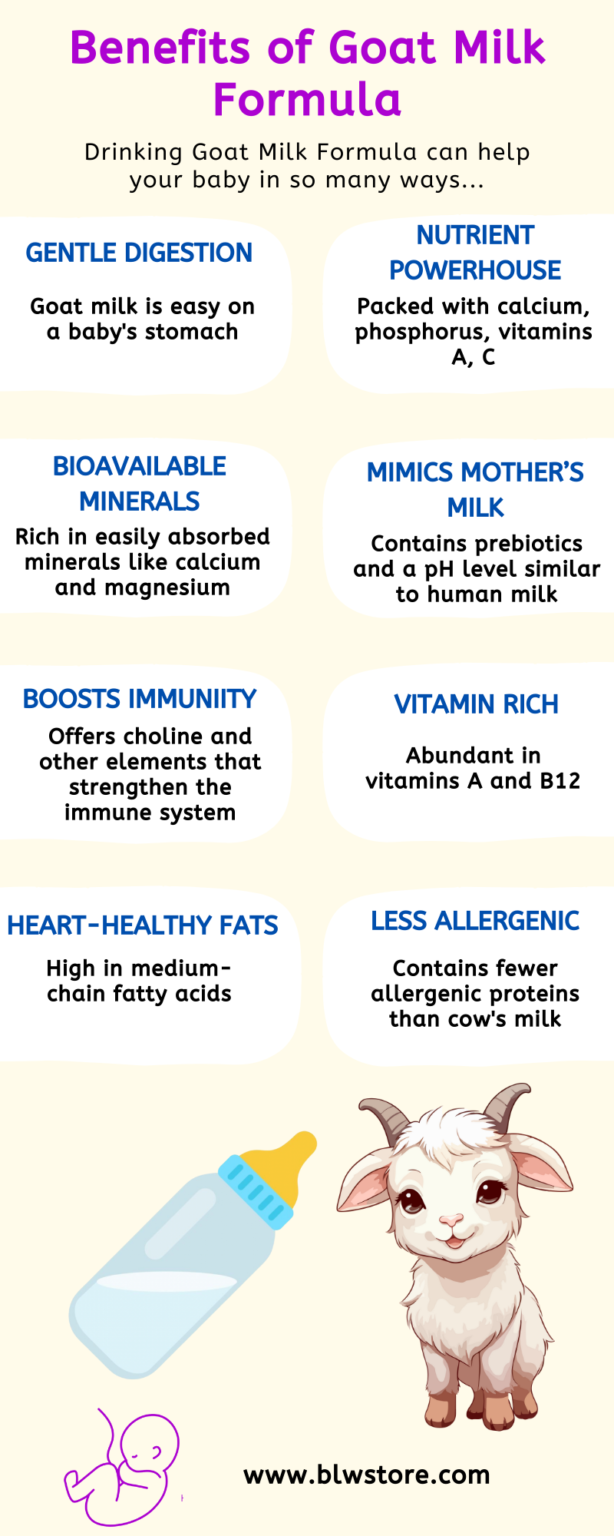 The Ultimate Infant Formula Comparison Chart – BLW Store